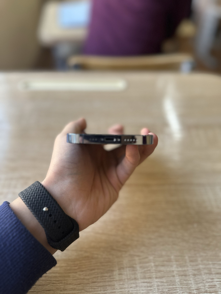 iPhone 13 pro LL/A