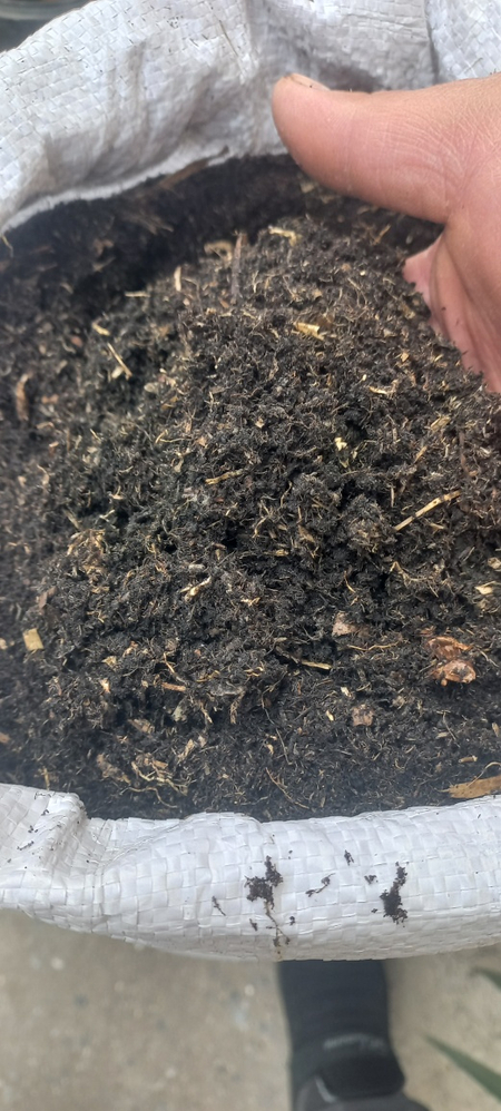 Tabiiy TORF 10000sum 1 kg