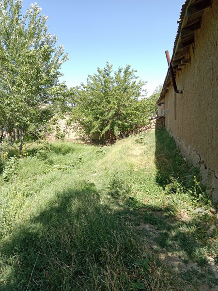 uy sotiladi maydoni kotta daraxtlar kop