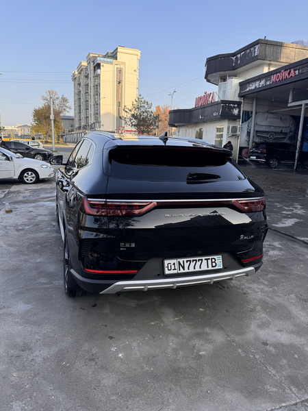 Bvd song pulus 2022/23