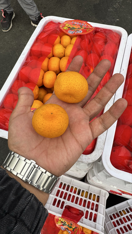 Xitoy mandarin 6.5 kg toza optom