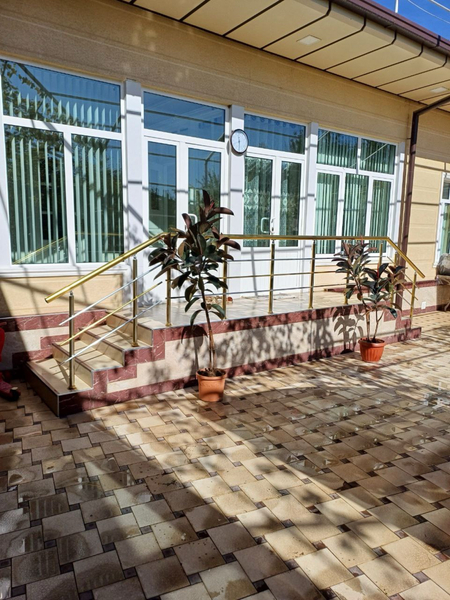 Продаются домашние цветы дешево