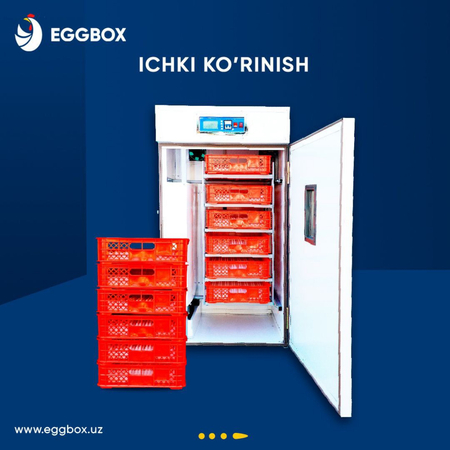 Инкубатор EGGBOX 528