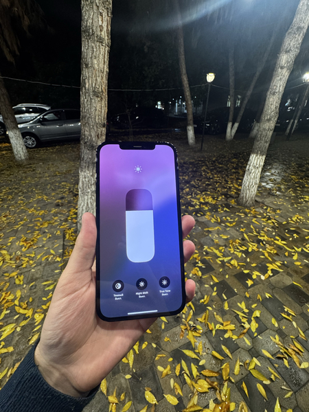 iPhone 12 Pro Max 256gb