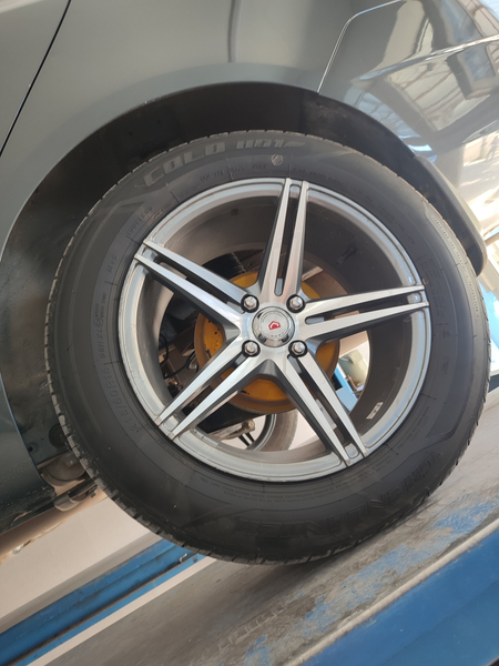 Vossen 16 holati ideal