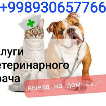 Ветеринар yниверсал 24/7 круглосутоно24/7  . хасанхожи