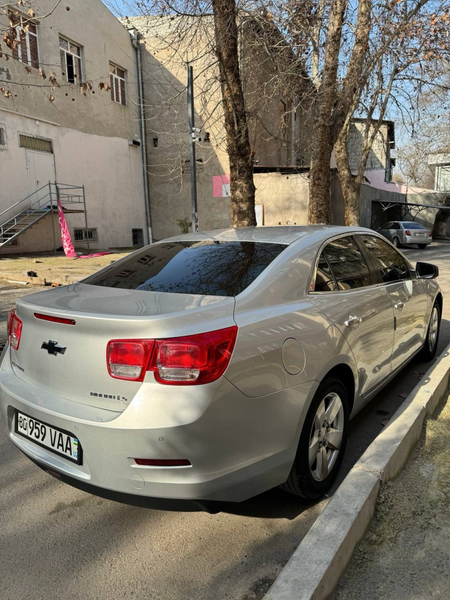 Malibu 1/1-pozitsiya
