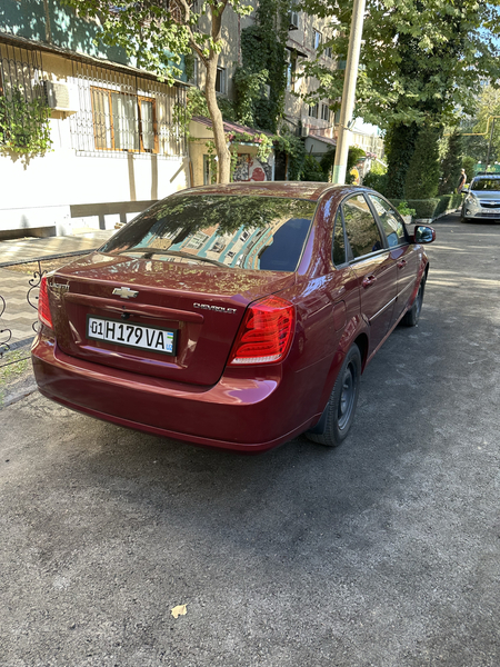Жентра 2015 год