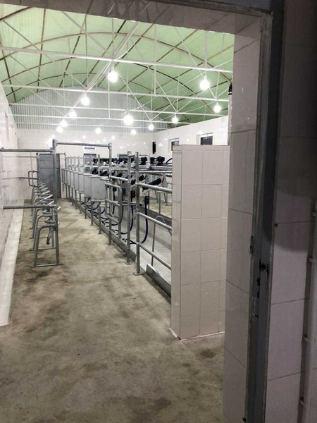 Sut sogish zallari