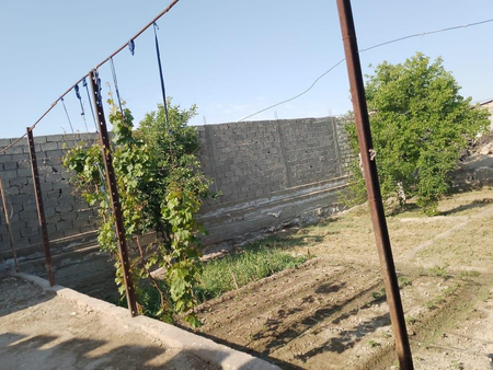 Kogan yangi hayotda uchastka sotiladi 8 sotixli xovli