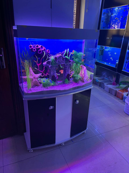 New Akvarium 150-200 litr