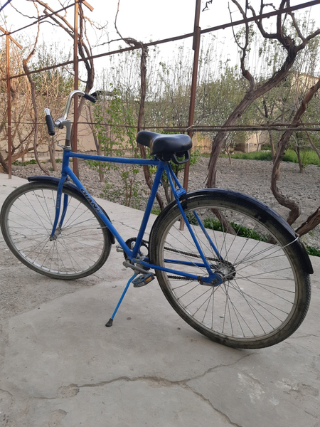 Velosiprd, Velo, velik, Велик