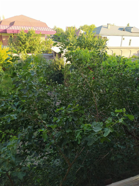 Продаётся. Участок. Дом. Mirabad Avenue 12 соток.