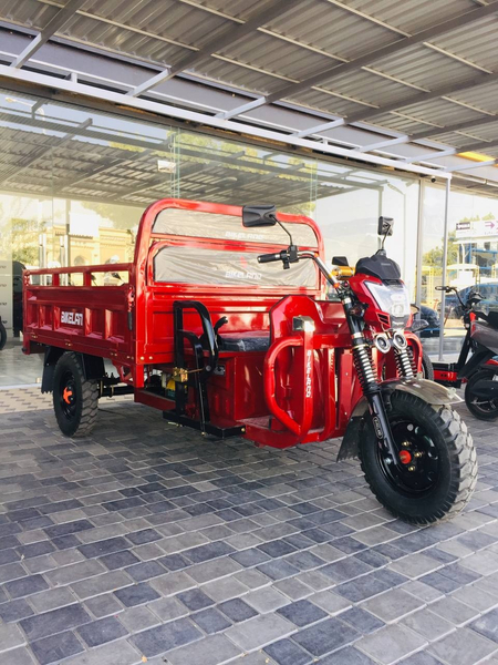 От 5 штук Оптом!!! Bikeland Electrik Trisikllari