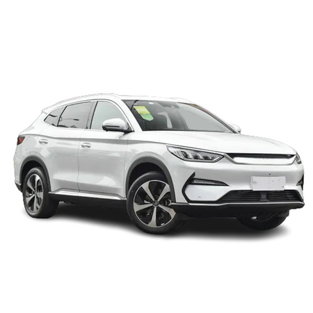 BYD SON PLYUS белая пробек19000