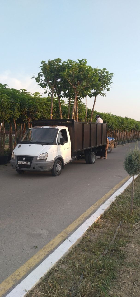 Gazel Yuk tashish xizmati 24/7 bartavoy