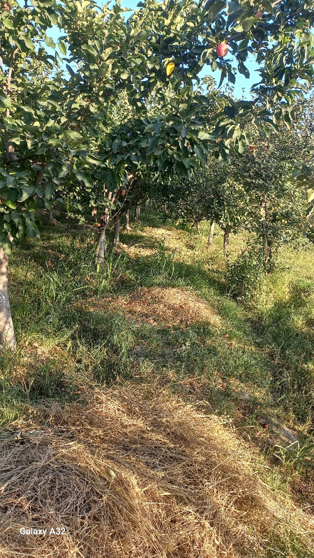 Yer sotiladi srochna arzon narxda