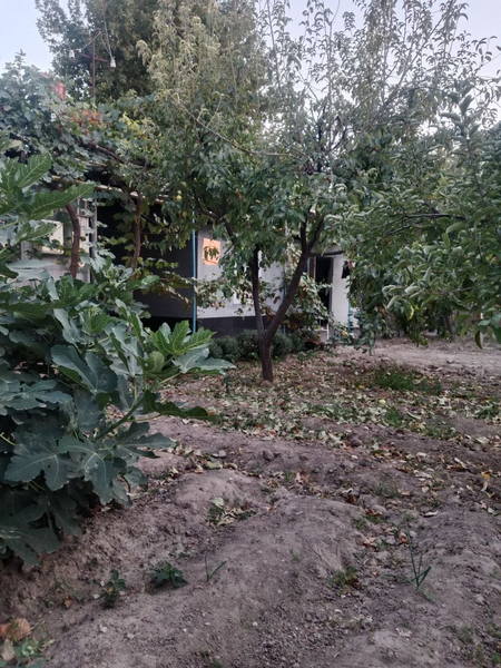 продаётся дом в чирчике
