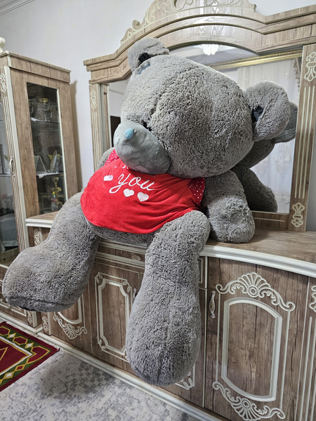 Teddy ayiq. Тедди