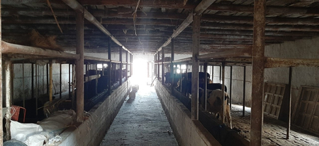 Ferma arendaga beriladi