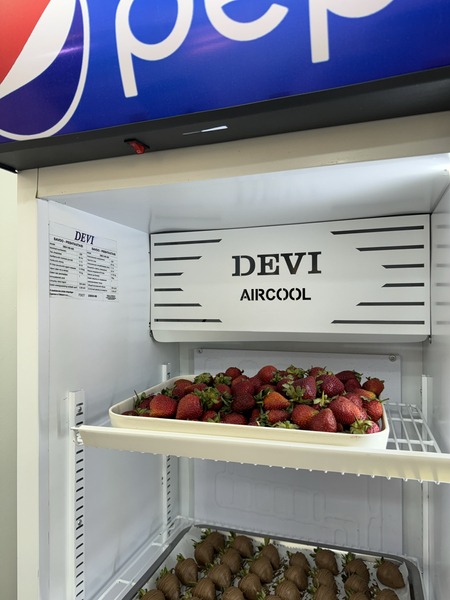 ХОЛОДИЛЬНИК DEVI. 350л объем. Идеальное состояние. 2024 выпуск.