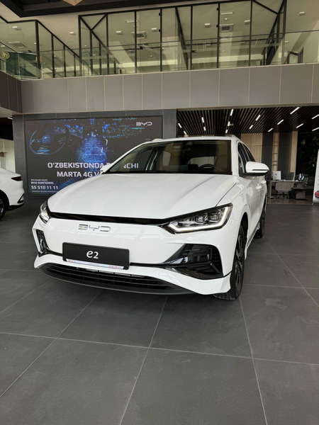 BYD е2 ( 405 km Luxe )