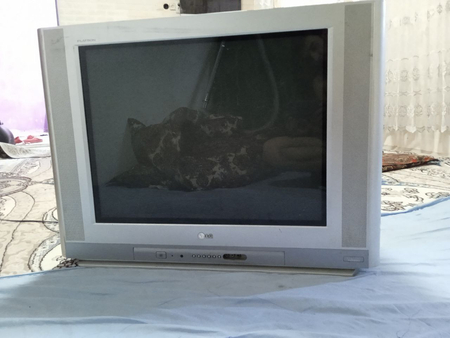 Lg tilvizor xolati yangiday
