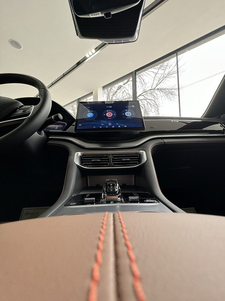 BYD champion EV . Выгодно !!!