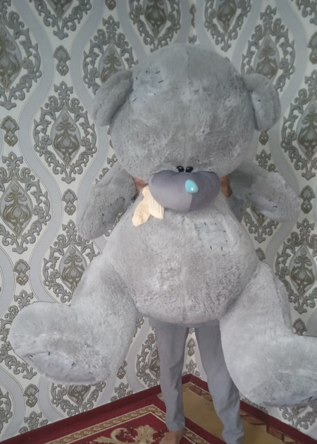 Teddi ayiq kattasi