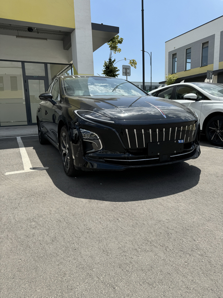Hongqi eqm5 nalicha