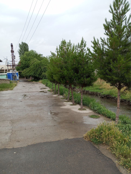 Сергели, Янги Хаёт, Ул. Чорток