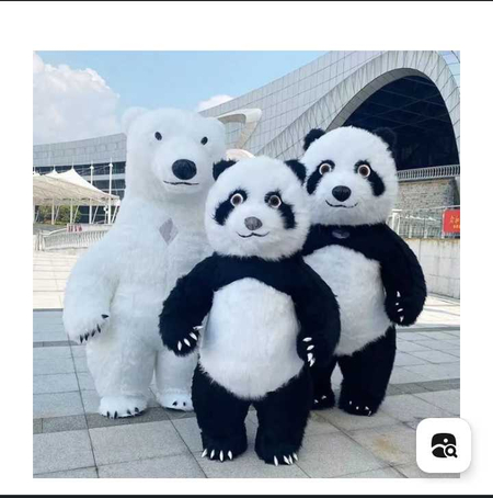 Ayiq va panda shouu