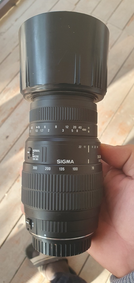 Canon Sigma 70 300 mm