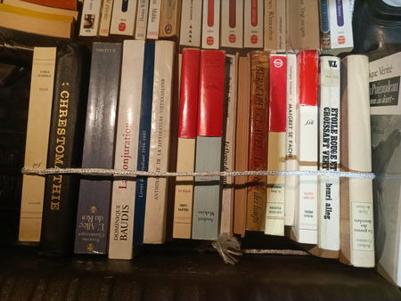 90+ книг на французском языке