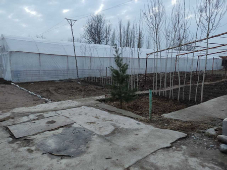 Ферма 31 соток Кибрайский район