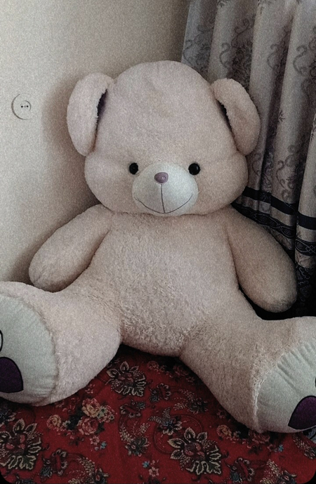 Большой медведь          .