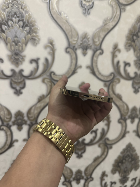 Iphone 13 pro max ideal
