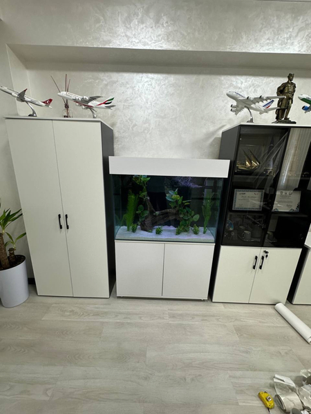 Akvarium tozalash va oʻrnatish hizmati