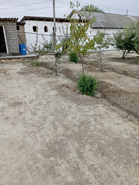 450-500 kv.m yer maydoni sotiladi