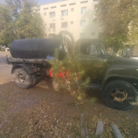 Говновоз услуга техника