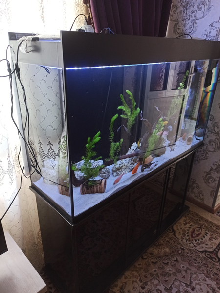 Akvarium sotiladi