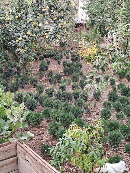 Kelishtirib bervoramiz