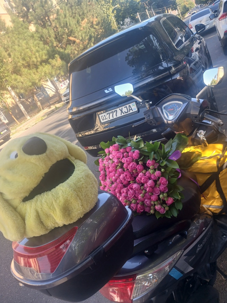 Pellones nomli skuter 125 kubali