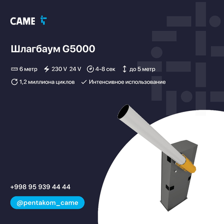 Шлагбаумы CAME Италия с гарантией 3 года