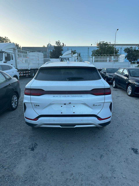 BYD arenda s vikipka