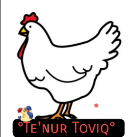 (Qiz bollar uchun) Toviq mahsulotlarini reklama qilish uchun agent kk
