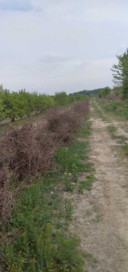 Продаются дрова в хорошем качество