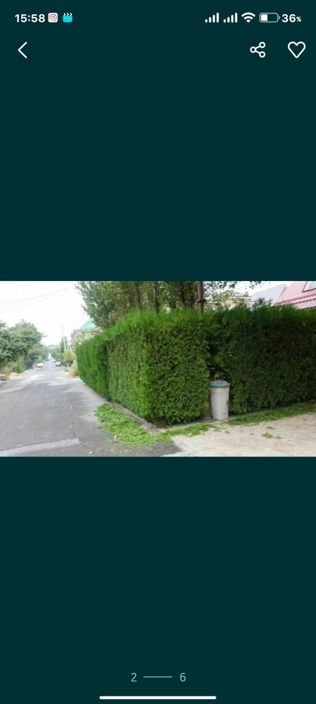 Archa va gullarga shakil berish va dorilash bizdan .