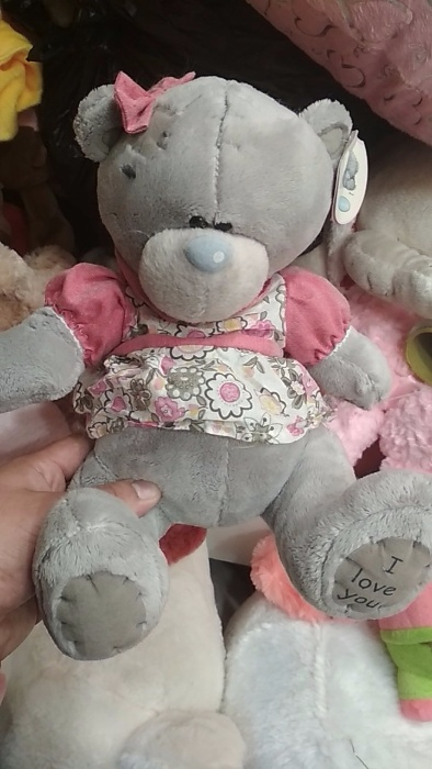 Teddi ayiq