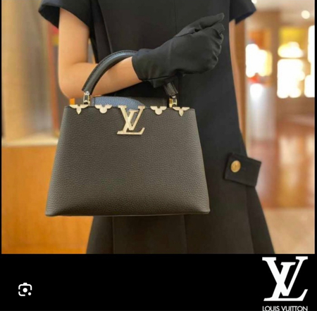 Authentic Louis Vuitton Capucines PM Limited Edition Runway Collection